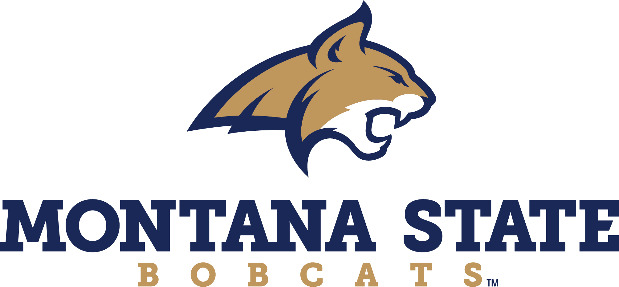 MSU Practice Facility - Bozeman CVB